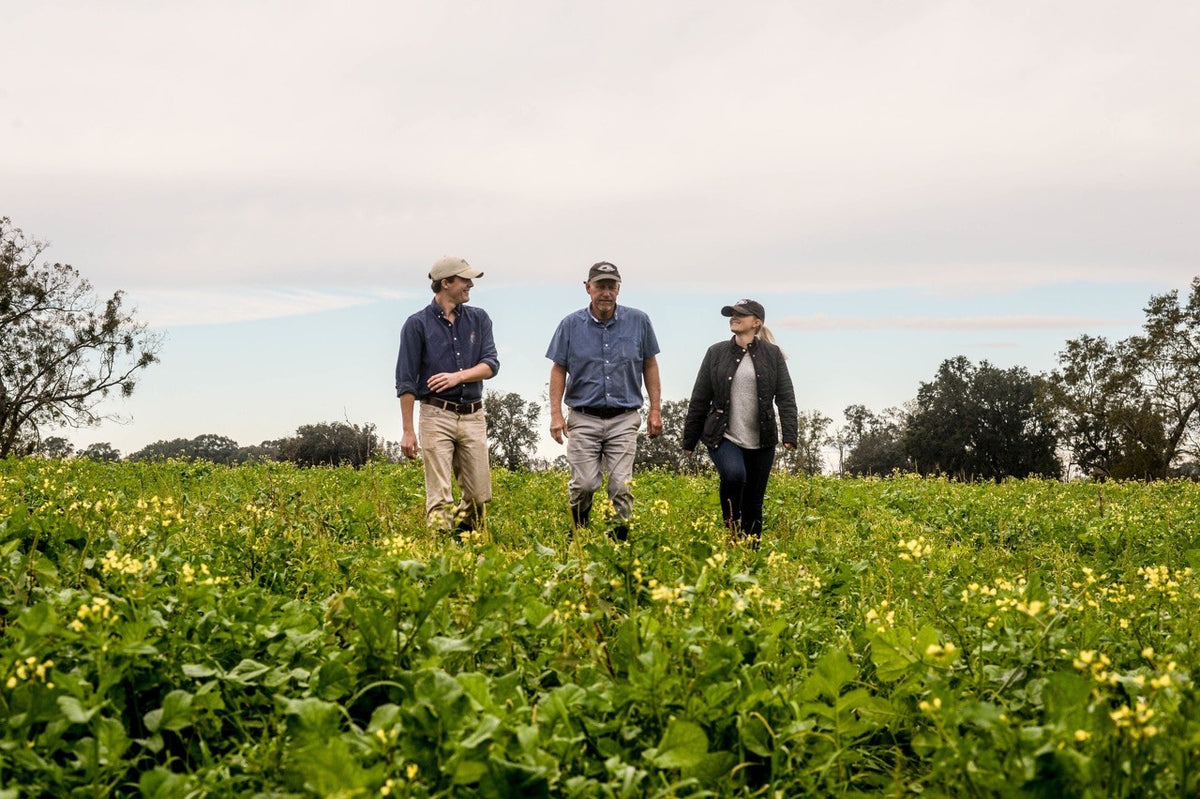 How it all started – Thompson Farms